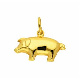 Adelia´s Adelia´s Kette mit Anhänger 333 Gold Anhänger Schwein, Schmuckset - Set mit Halskette, goldfarben