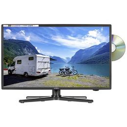 Reflexion LDDW190+ LED-TV 47 cm 19 Zoll EEK F (A - G) CI+, DVB-S, DVB-S2, DVB-C, DVB-T2 HD, HD ready, PVR ready Schwarz