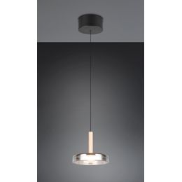 Trio Celeste Pendelleuchte LED Schwarz, 1-flammig
