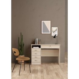 Schreibtisch Inosign "Funktion Plus, Arbeitstisch, Bürotisch" Tische Gr. B/H/T: 109,3 cm x 75,6 cm x 48,5 cm, braun (jasmund) Computertisch mit 5 Schubladen,1 abschließbar,Breite 110 cm