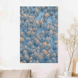 Bilderwelten Leinwandbild Wald modern Kunstdruck blau - Winterlicher Sonnenuntergang im Wald - B&auml;ume XXL Wohnzimmer Schlafzimmer