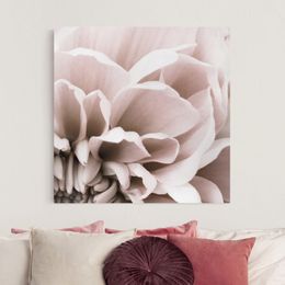 Bilderwelten Leinwandbild Chrysantheme in Altrosa II - Wandbild bis XXL Print Landhausstil Wohnzimmer Schlafzimmer K&uuml;che
