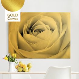 Leinwandbild Gold Close Up Rose - Wandbilder XXL Print Blumen Floral Schwarz-Wei&szlig; Liebe Wohnzimmer Schlafzimmer Bad Badezimmer K&uuml;che Flur Esszimmer