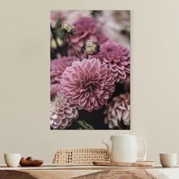 Bilderwelten Leinwandbild Landhaus Kunstdruck violett - Dahlienbouquet Nahaufnahme - Wandbild XXL Wohnzimmer Schlafzimmer