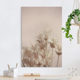 Bilderwelten Leinwandbild Blumen modern Kunstdruck beige - Sepia Trockenblumen - Wandbild XXL Wohnzimmer Schlafzimmer