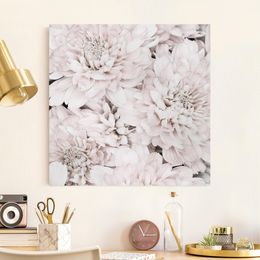 Bilderwelten Leinwandbild Chrysanthemen in Altrosa III - Wandbild bis XXL Print Landhausstil Wohnzimmer Schlafzimmer K&uuml;che