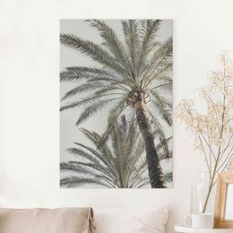 Bilderwelten Leinwandbild Natur Tropisch Kunstdruck gr&uuml;n - Unter Palmen - Palme XXL Wohnzimmer Schlafzimmer