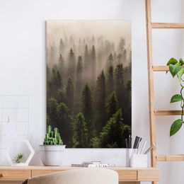 Bilderwelten Leinwandbild Wald modern Kunstdruck gr&uuml;n - Nebel im sonnigen Wald - B&auml;ume XXL Wohnzimmer Schlafzimmer