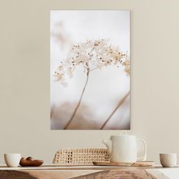 Bilderwelten Leinwandbild Landhaus Kunstdruck beige - Zarte hellgelbe Trockenblume - Wandbild XXL Wohnzimmer Schlafzimmer