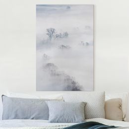 Bilderwelten Leinwandbild Wald modern Kunstdruck blau - K&uuml;hler Nebelmorgen - B&auml;ume XXL Wohnzimmer Schlafzimmer