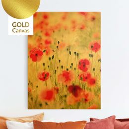 Leinwandbild Gold Summer Poppies - Wandbilder XXL Print Blumen Floral Wohnzimmer Schlafzimmer Bad Badezimmer K&uuml;che Flur Esszimmer Rot