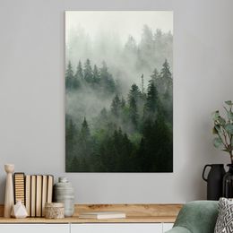 Bilderwelten Leinwandbild Tannenwald im Nebel Wandbild Kunstdruck Bild auf Leinwand - Natur Wald - Schlafzimmer Wohnzimmer Esszimmer - S-XXL Gr&uuml;n