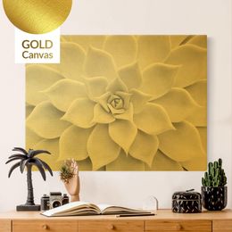 Leinwandbild Gold Kaktus Sukkulente - Wandbilder XXL Print Blumen Floral Botanik Tropical Schwarz-Wei&szlig; Wohnzimmer Schlafzimmer Bad Badezimmer K&uuml;che