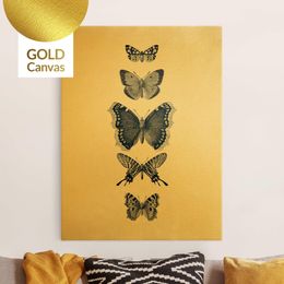 Bilderwelten Leinwandbild Gold Tusche Schmetterlinge auf Beige - Wandbilder XXL Print Illustration Tiere Wohnzimmer Schlafzimmer Bad Badezimmer K&uuml;che Flur