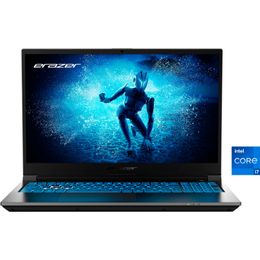 Medion Gaming-Notebook "ERAZER Deputy P60i (MD62688)" Notebooks Gr. 16 GB RAM 1000 GB SSD, Core i7, Windows 11 Home, schwarz