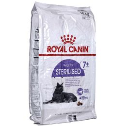 Royal Canin - Sterilised 7+ - Katzenfutter trocken - 10 kg