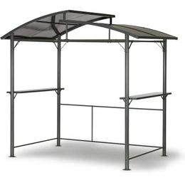 Profi-Grillpavillon mit Polycarbonat-Dach anthrazit 245 x 150 x 234 (l xB x h) - Leco