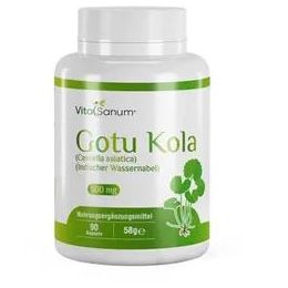 VitaSanum® - Gotu Kola (Centella asiatica) (Indischer Wassernabel) 500 mg 90 Kapseln 90 St