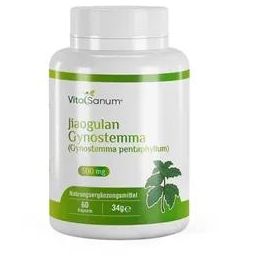 VitaSanum® - Jiaogulan Gynostemma (Gynostemma pentaphyllum) 500 mg 60 Kapseln 60 St