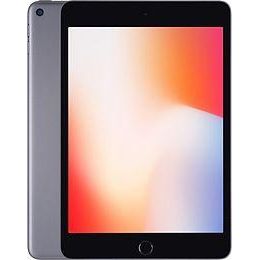 Apple iPad mini 5 7,9 256GB [Wi-Fi + Cellular] space grau