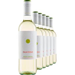 2023 Fantini Pinot Grigio im 6er-Vorratspaket