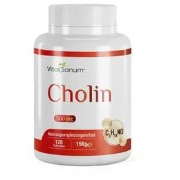 VitaSanum® - Cholin 500 mg 120 Tabletten 120 St