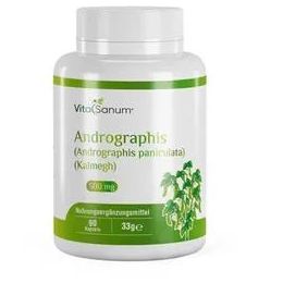 VitaSanum® - Andrographis (Andrographis paniculata) (Kalmegh) 500 mg 90 Kapseln 90 St