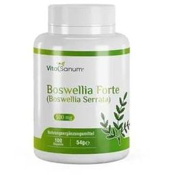 VitaSanum® - Boswellia Forte (Boswellia Serrata) 500 mg 100 Kapseln 100 St