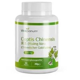 VitaSanum®- Coptis Chinensis ?? (Huáng lián) (Chinesischer Goldfaden) 500 mg 60 Kapseln 60 St