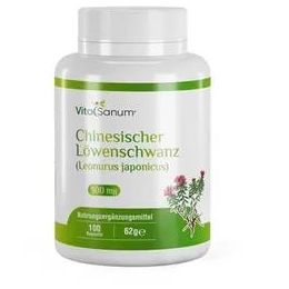 VitaSanum® - Chinesischer Löwenschwanz (Leonurus japonicus) 500 mg 100 Kapseln 100 St