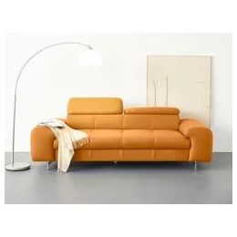 3-Sitzer COTTA "Chef" Sofas Gr. B/H/T: 227 cm x 72 cm x 105 cm, Leder PAMPAS, mit Kopfteilverstellung, braun (amber) 3-Sitzer mit eleganter Steppung, Bodenfreiheit 12,5 cm