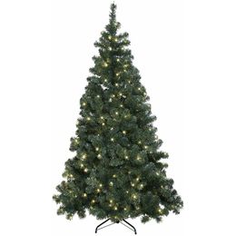 BEST SEASON LED-Weihnachtsbaum Ottawa, beleuchtet, indoor/outdoor IP44, ca.210 cm, 260 warmweiße LED`s, incl. Fuß