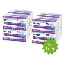 HÖFER CHEMIE 8x 1 kg bayzid® Flockkartusche für Pools