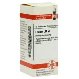 DHU-Arzneimittel Ledum LM VI Dilution 10 ml