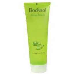 Bodysol Aroma Duschgel Ginkgo Limette 250 ml