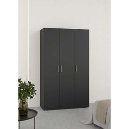 Kleiderschrank Inosign "Pepe Drehtürenschrank, Stauraum" Schränke Gr. B/H/T: 118,1cm x 200,9cm x 49,8cm, 3 St., schwarz (schwarz matt) Breite 79 oder 118 cn, Höhe 200,9 cm