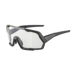 Alpina Skibrille, schwarz