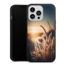 DeinDesign iPhone 13 Pro Handy Premium Silikon H&uuml;lle Handyh&uuml;lle schwarz Case Sun Pampasgras Nature Silikon Premium Case