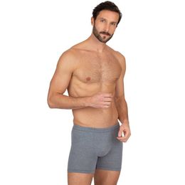 TRIGEMA Boxer Herren Pant in bequemer Stretch-Qualität (1-St), grau, XXL, steingrau-melange
