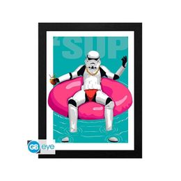 ABYSTYLE - ORIGINAL STORMTROOPER Framed print Pool Boy - Bild