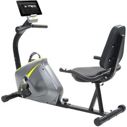 Magnetisches Sitz-Ergometer mit Pulsmessung vidaXL