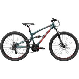 Mountainbike Bikestar Fahrräder Gr. 39cm, 26 Zoll (66,04cm), grün für Damen und Herren, Kettenschaltung