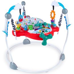 Spielcenter Baby Einstein "Airplane Adventure" Motorikspielzeug bunt Kinder Mit über 20 Melodien, Geräuschen und Lichtern