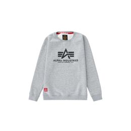 Sweater Alpha Industries "Alpha Industries Kids - Sweatshirts Basic Sweater Kids" Gr. 16, grau (grau heather), Mädchen, Obermaterial: 80% Baumwolle, 20% Polyester, Sweatshirts