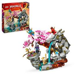 Lego® NINJAGO® 71819 Drachenstein-Tempel Bausatz