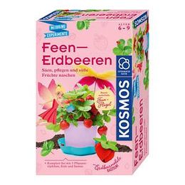 Kosmos Experimentierkasten Feen-Erdbeeren mehrfarbig