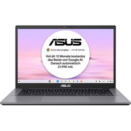 ASUS Chromebook "Plus CM3401FFA-LZ0146" Notebooks Gr. 8 GB RAM 256 GB SSD Core i3, Core i3, Chrome OS, grau