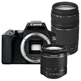 Canon EOS 250D + 18-55mm DC III + 75-300mm III