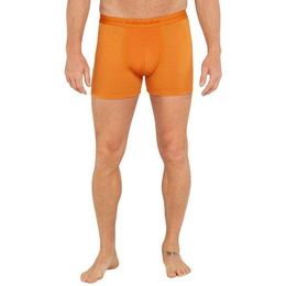 Icebreaker Merino Anatomica - Boxer - Herren