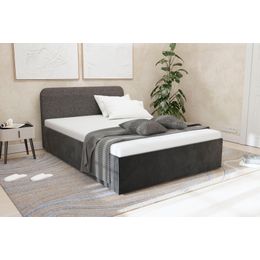 Polsterbett "Shawn", grau (anthrazit), L:210cm, Bezug Kopfteil: Teddy-Stoff: 100% Polyester, Bezug Bettgestell: Microvelours 100% Polyester, Polsterung: Polsterwatte, Material Gestell: gepolsterter Holzwerkstoff, Westfalia Schlafkomfort, Betten, zwei verschiedene Liegehöhen wählbar
